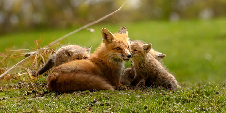 Shop all | Wildling Shoes | minimal shoes | sustainable | fair